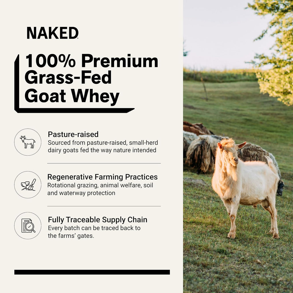 Vanilla flavour whey protein powder