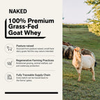 Vanilla flavour whey protein powder