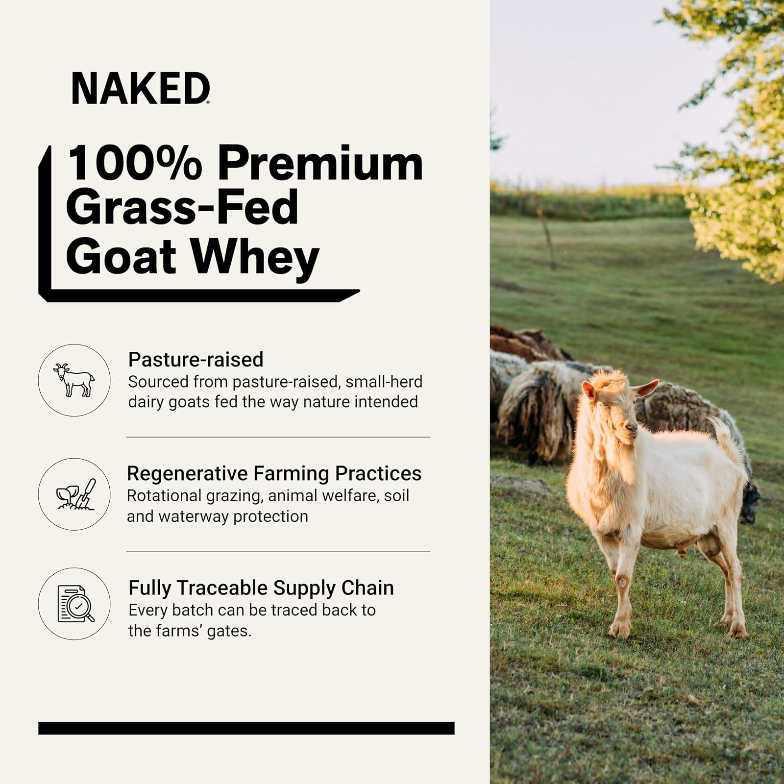 Vanilla flavour whey protein powder