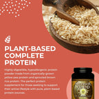 Vanilla plant protein for smoothies