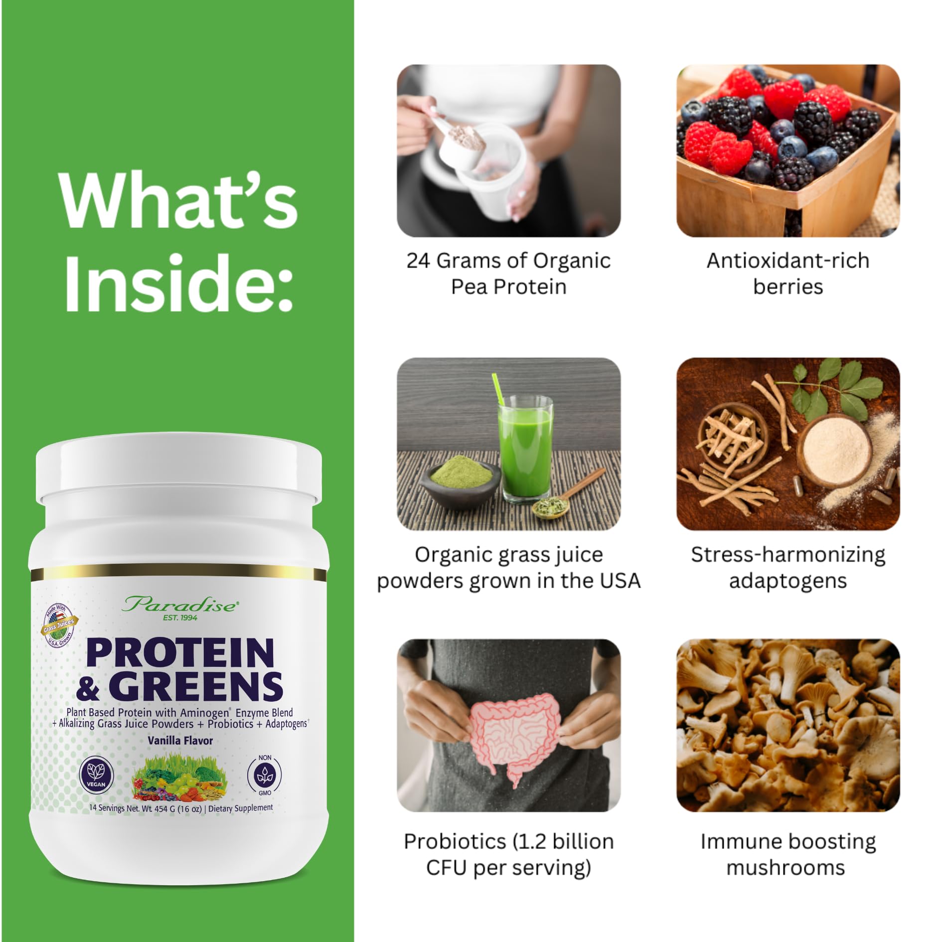 vanilla protein powder with fruits and vegetables