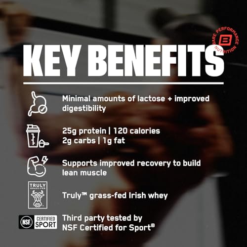vanilla whey protein for smoothies and shakes