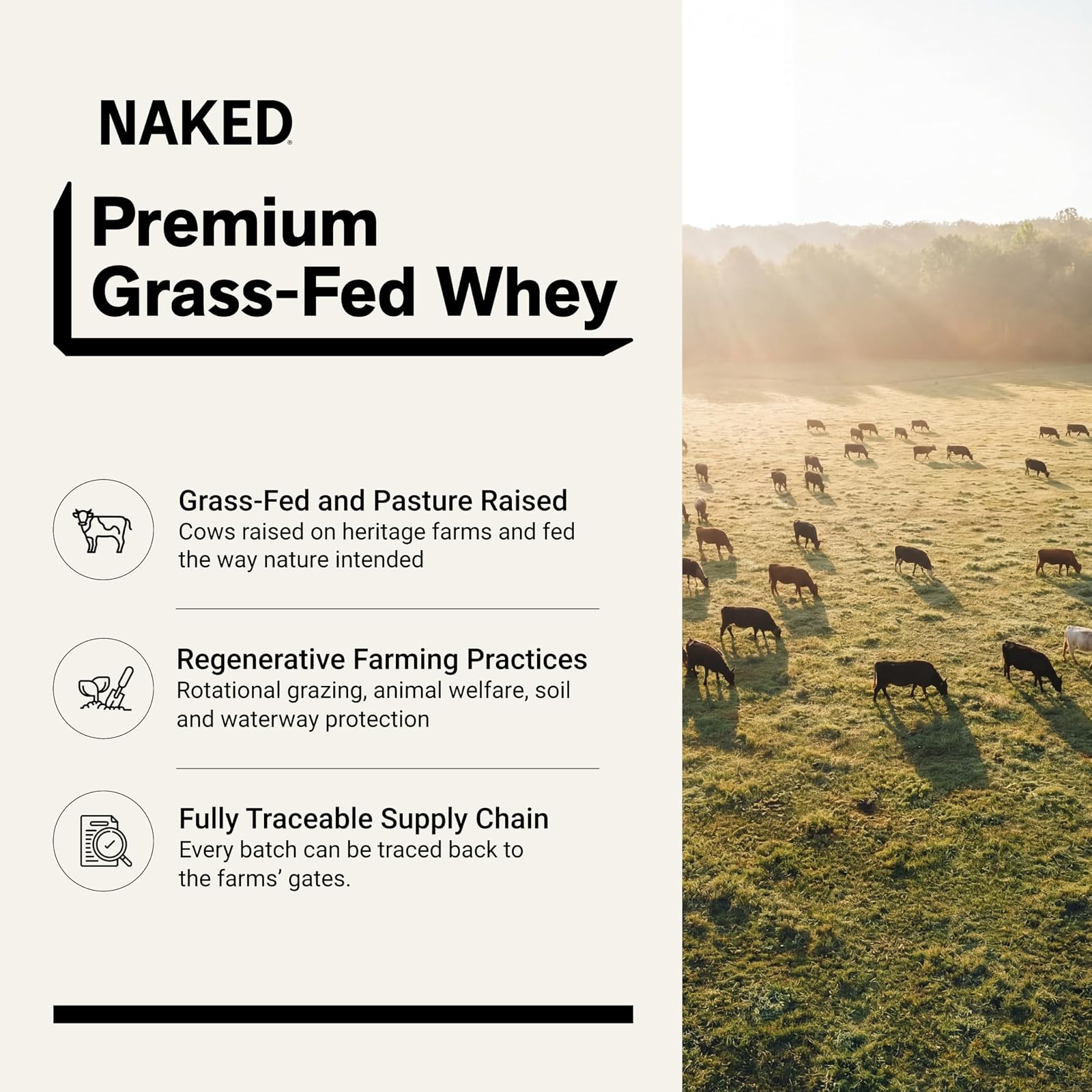 vanilla whey protein powder for smoothies
