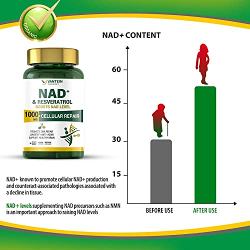 Vantein NAD supplement for active lifestyle
