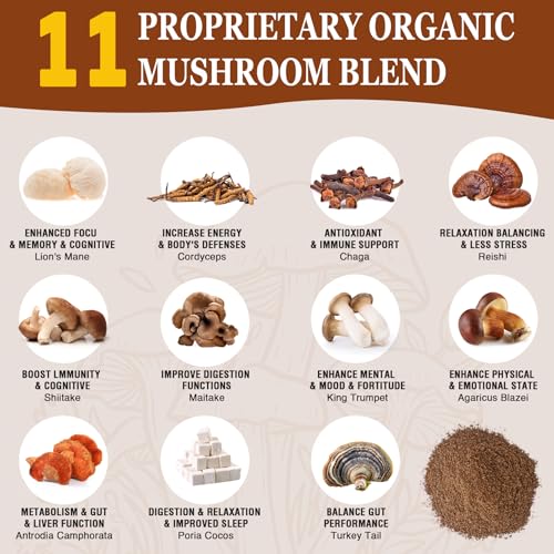 varieties of mushroom coffee