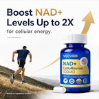 VCCVBB NAD+ for healthy aging