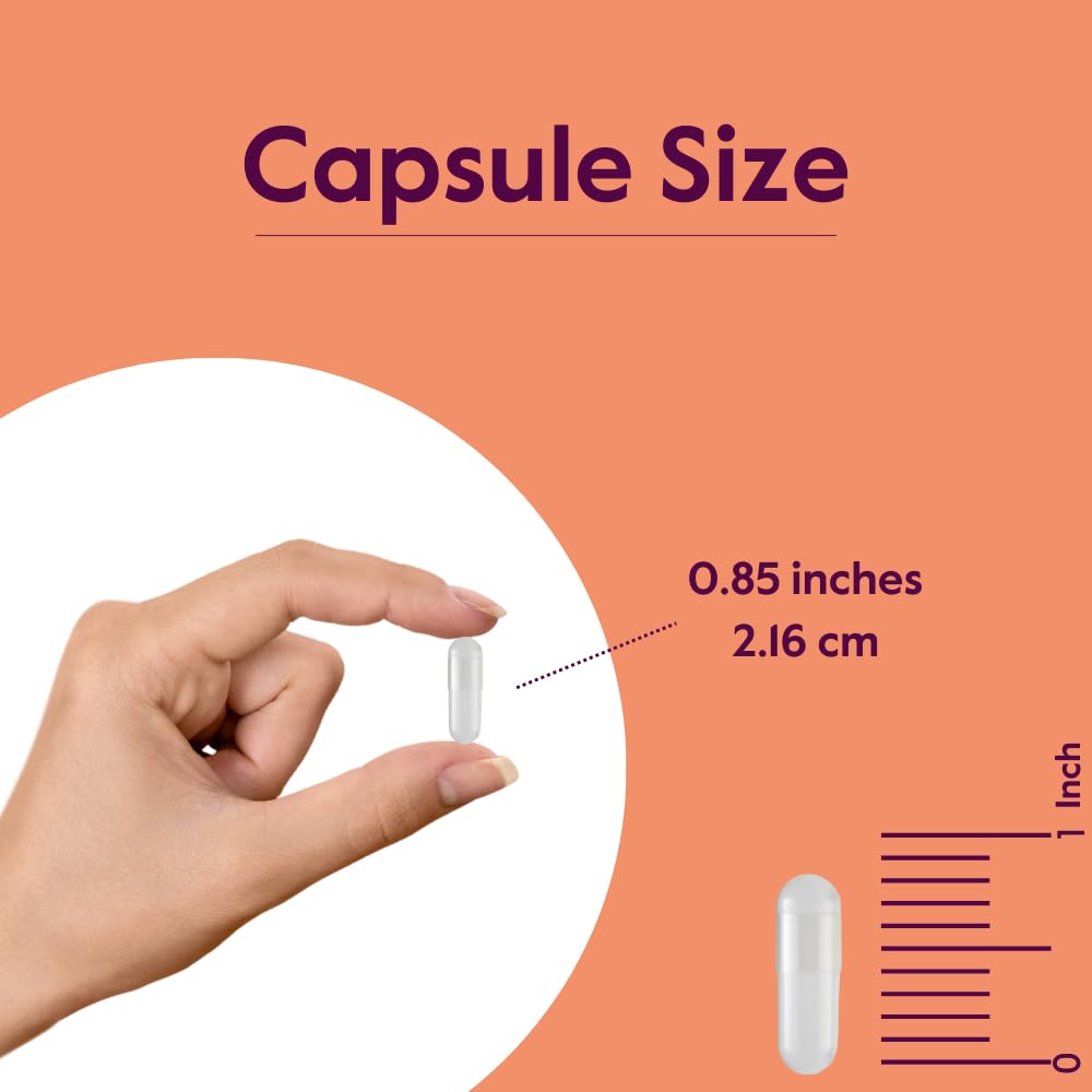 vegan acetyl l-carnitine capsules