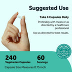 Vegan Acetyl L-Carnitine supplement benefits