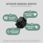 vegan activated charcoal for detox