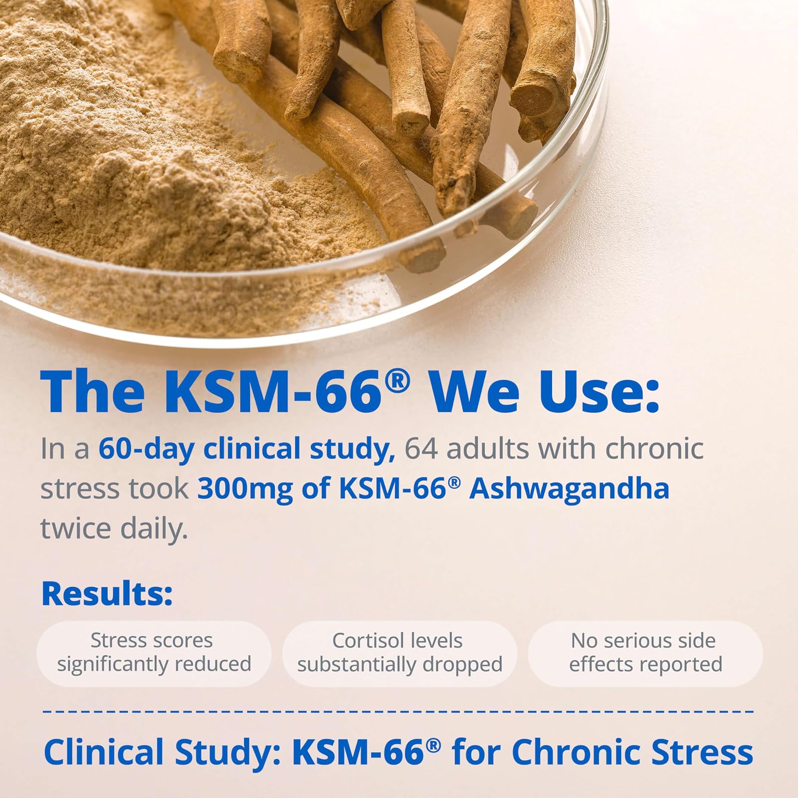 vegan adaptogen for daily use