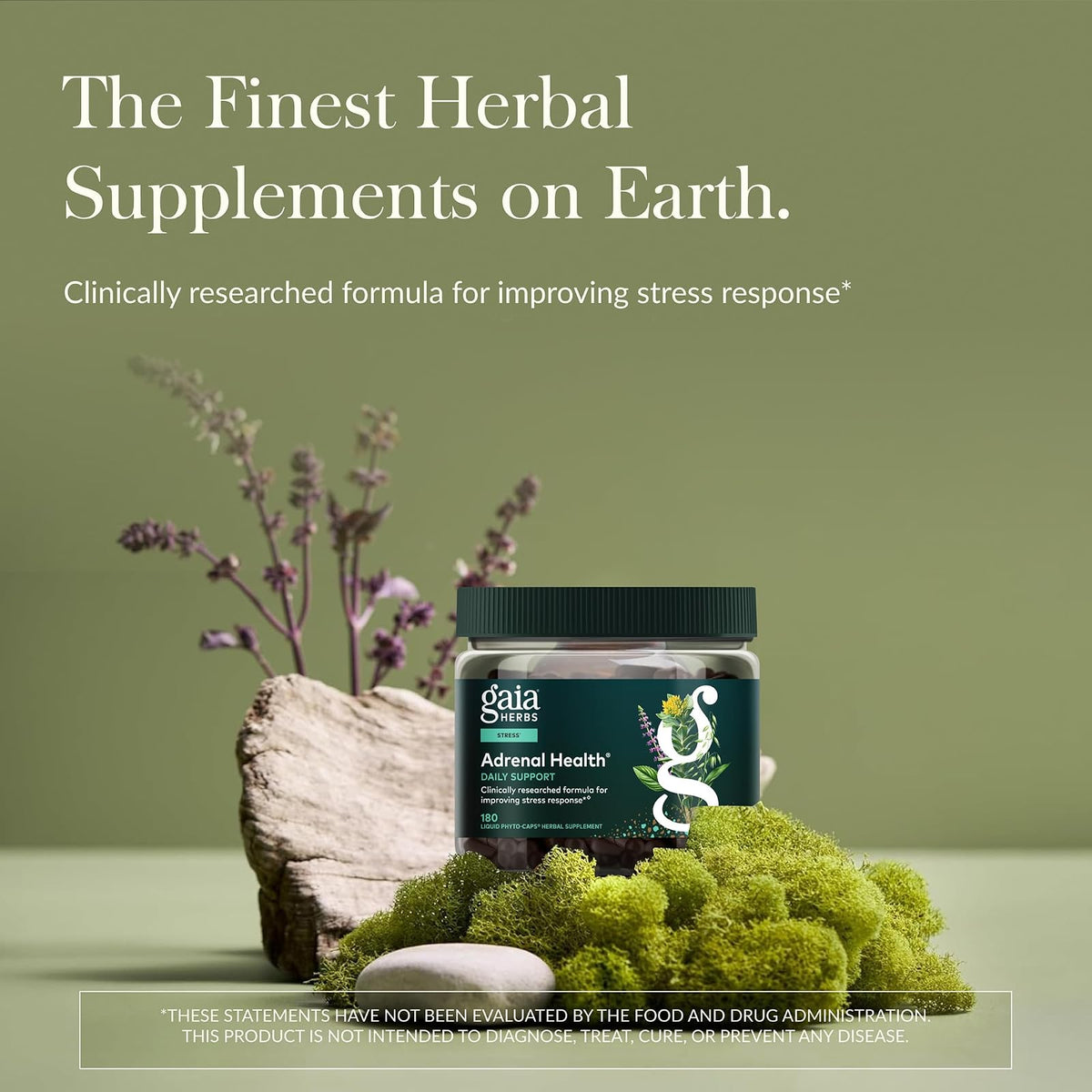 vegan adrenal extract for daily wellness