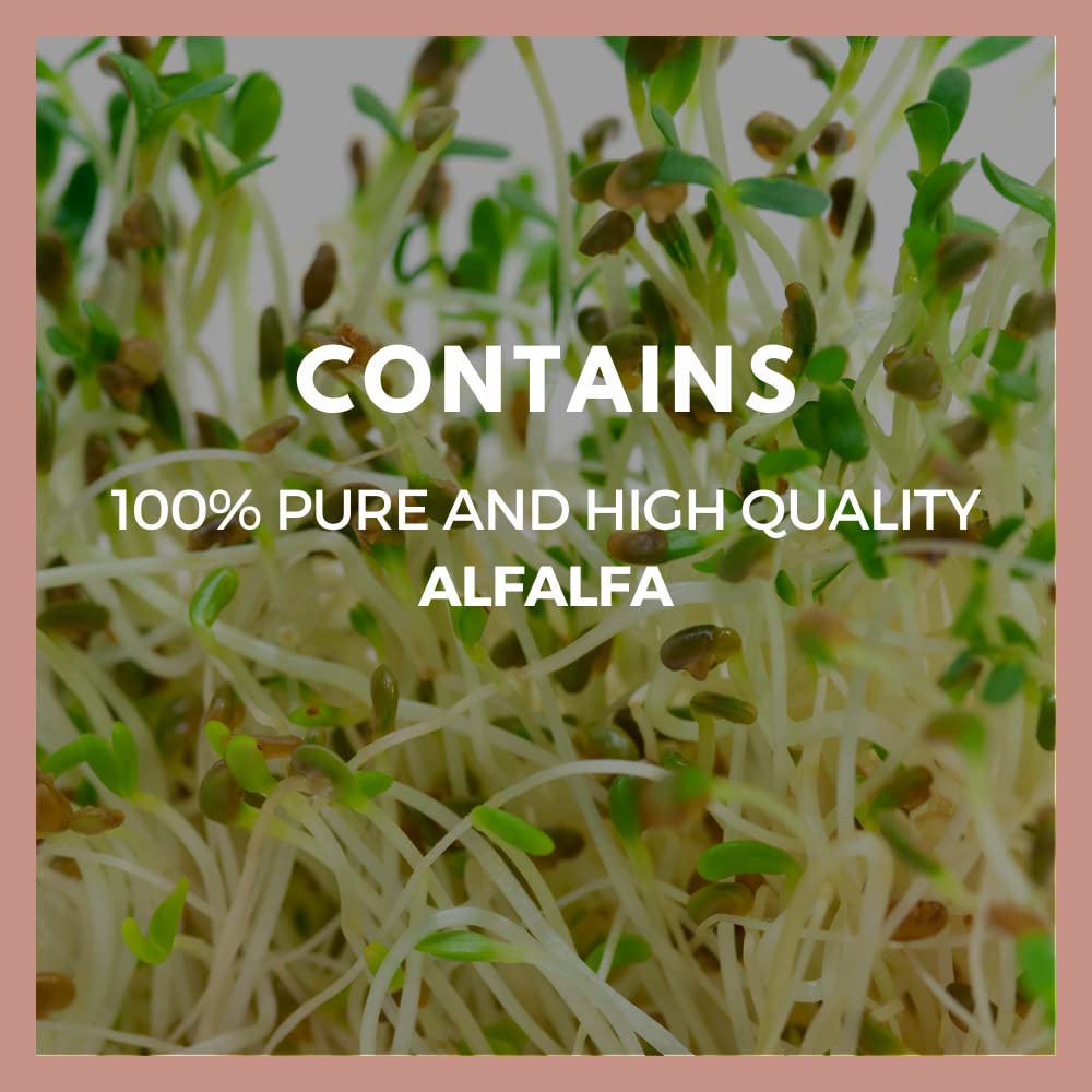 vegan alfalfa for natural energy boost