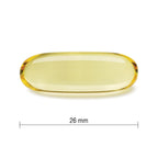Vegan algae omega 3 alternative options