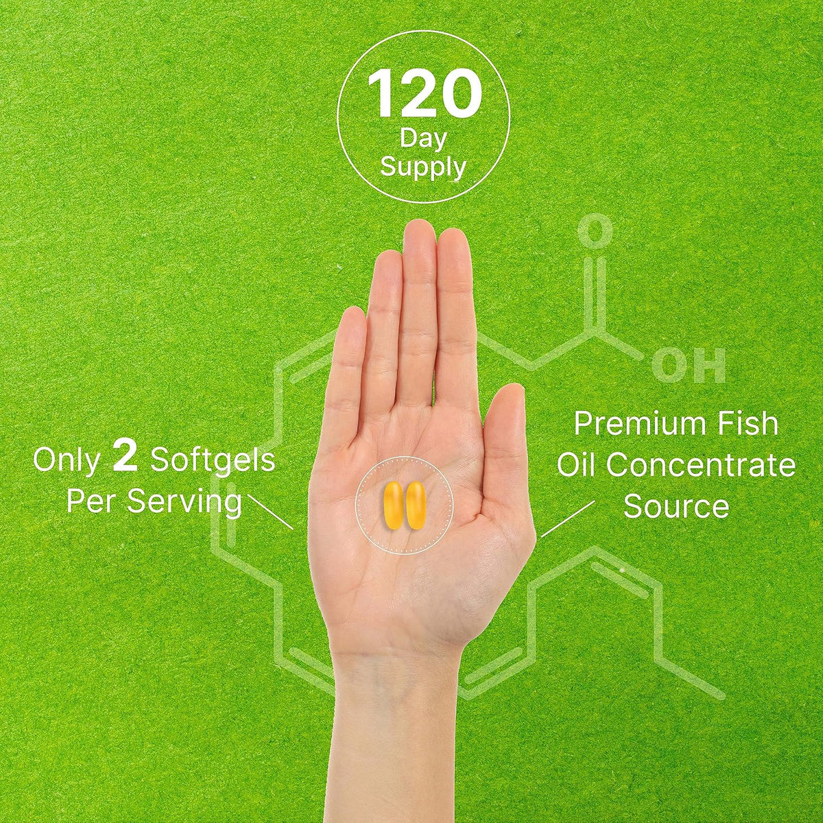 vegan algae omega 3 alternative