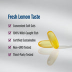 vegan algae omega 3 alternative