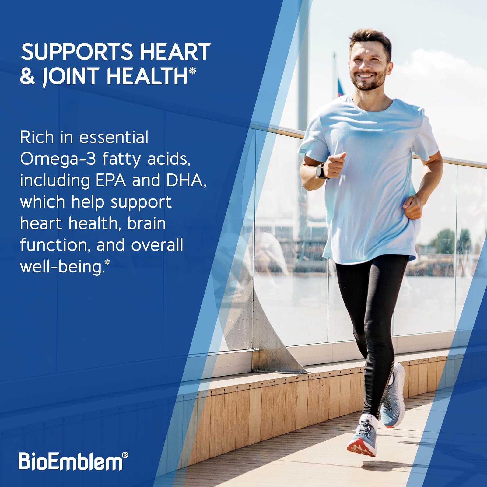 vegan algae omega 3 alternative