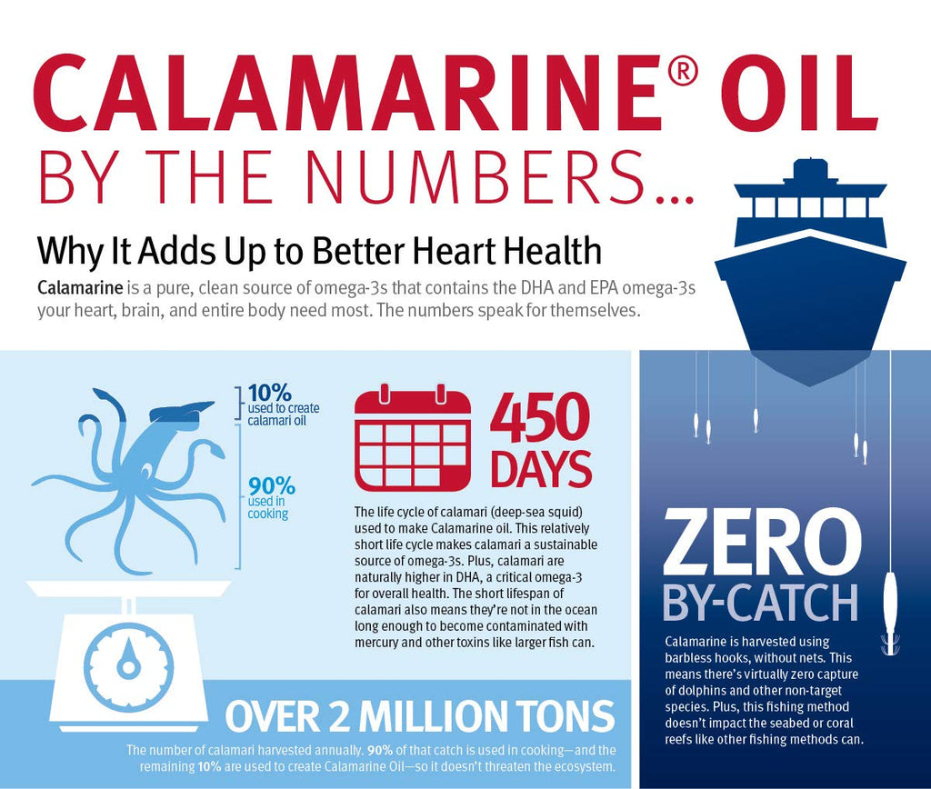 vegan algae omega 3 alternative