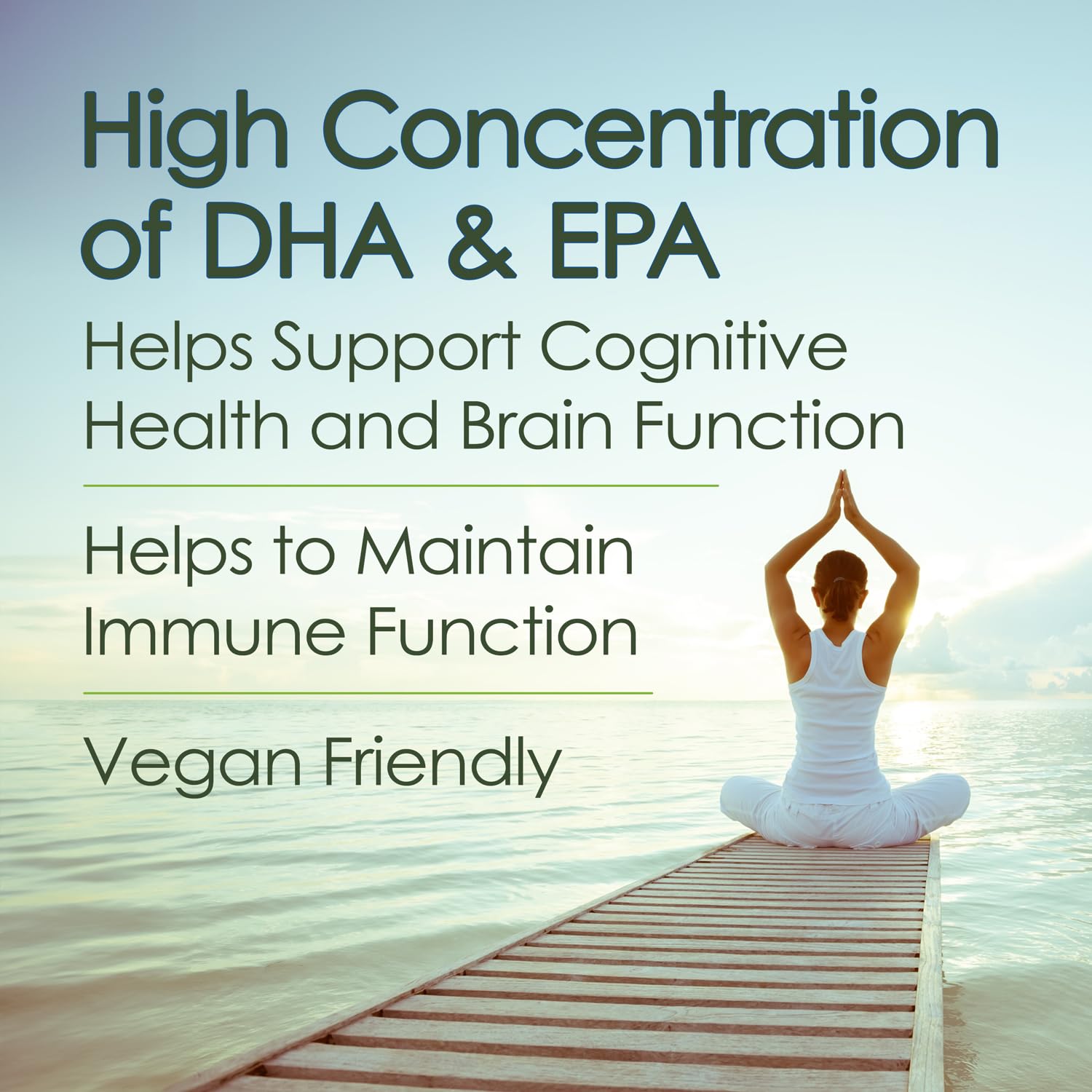 vegan algae omega 3 alternative