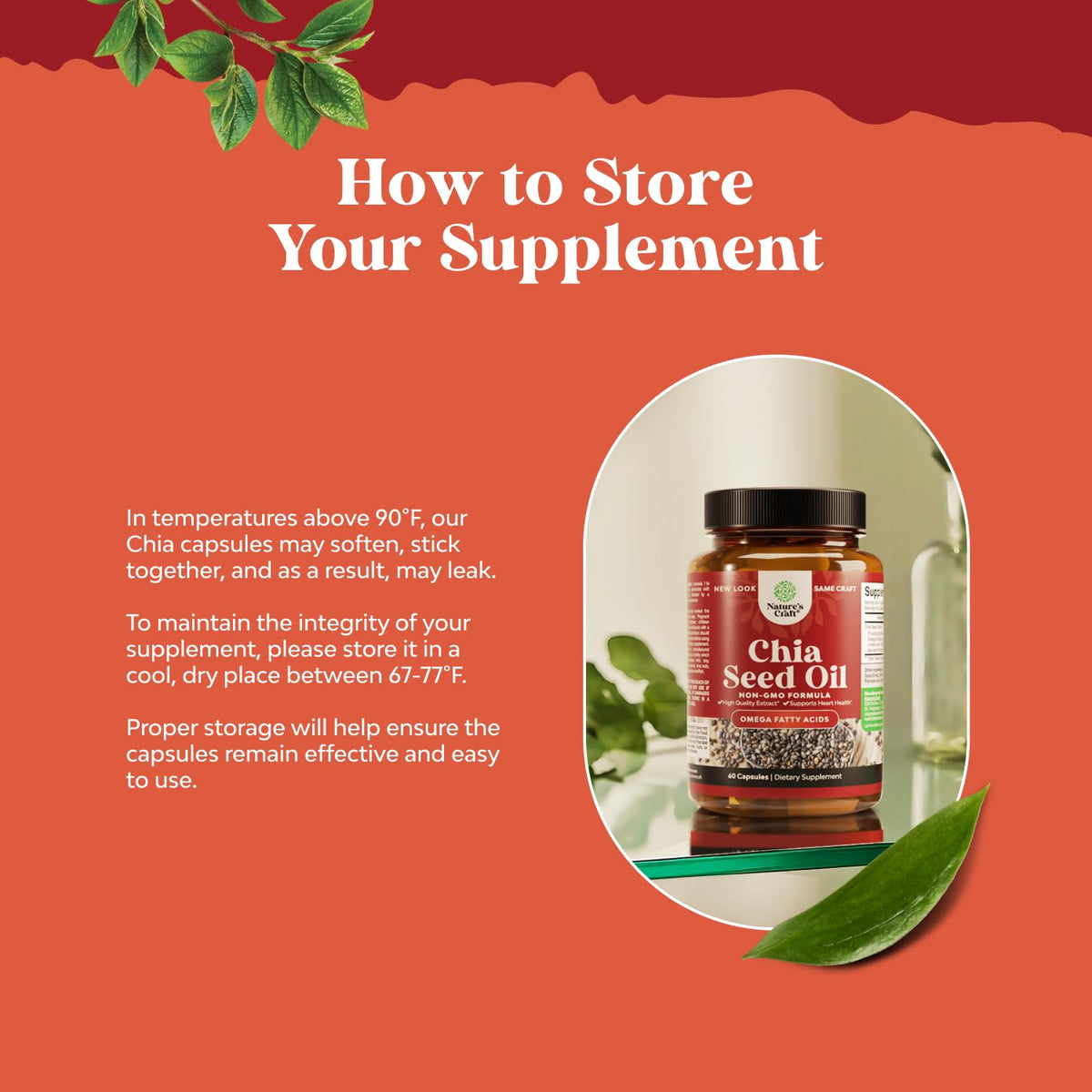Vegan algae omega 3 alternative