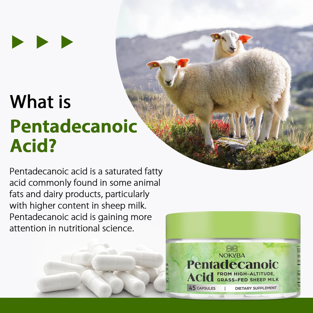 Vegan algae omega 3 alternative