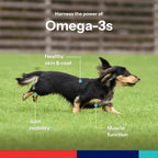Vegan algae omega 3 alternative