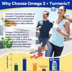 vegan algae omega 3 alternative