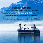 vegan algae omega 3 alternative