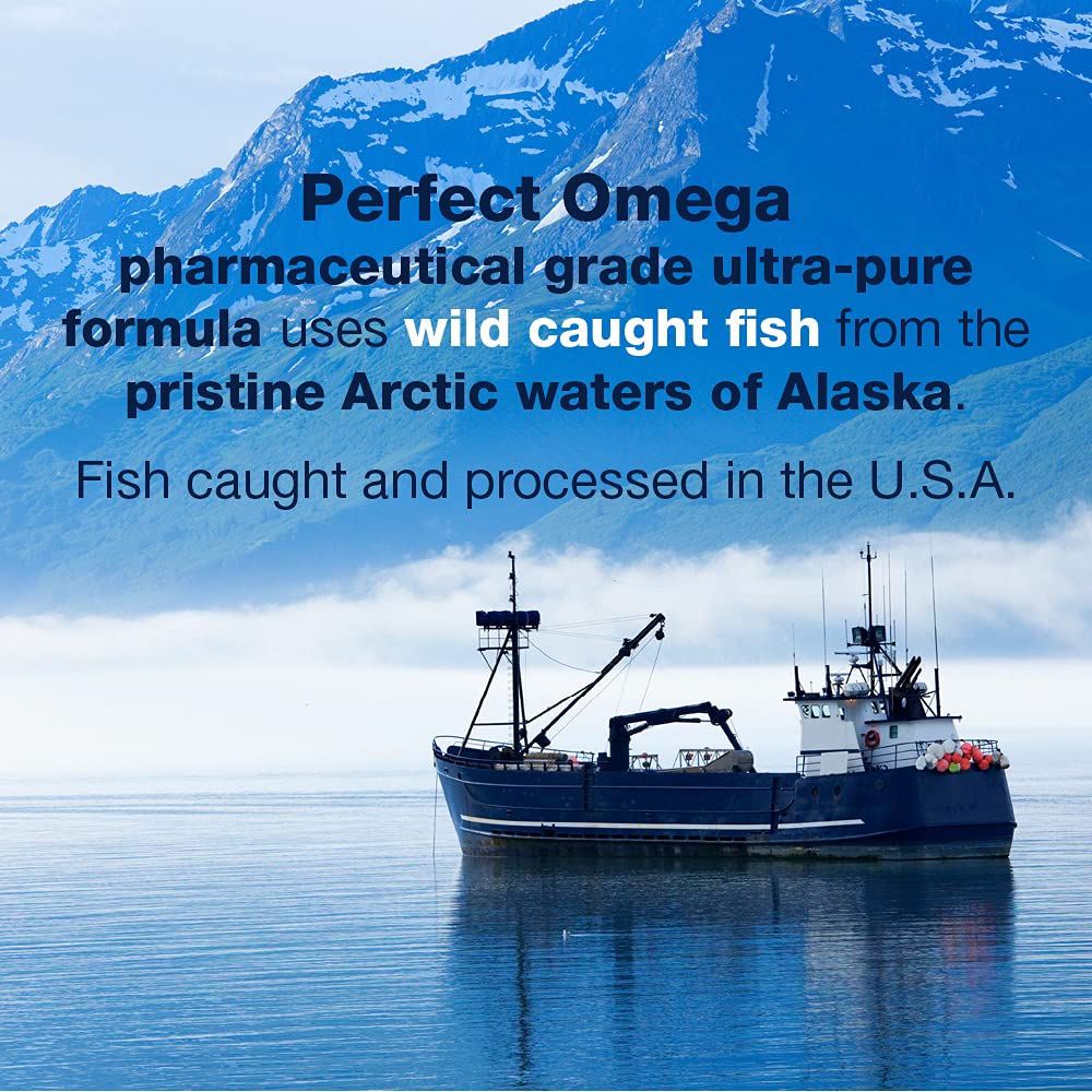 vegan algae omega 3 alternative
