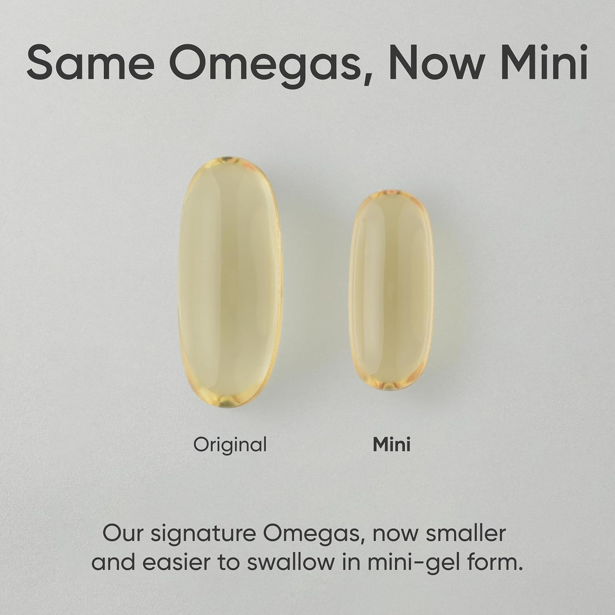 vegan algae omega 3 alternative