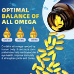 vegan algae omega 3 alternative