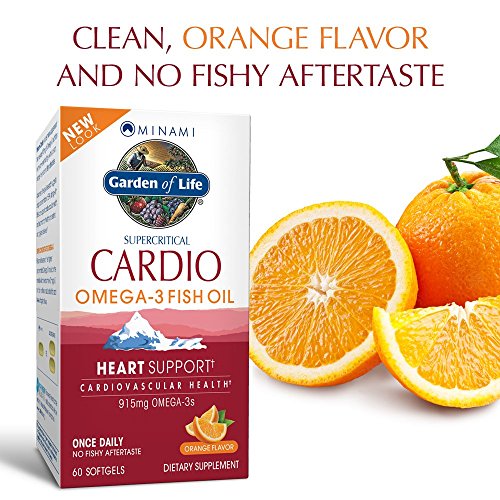 vegan algae omega 3 alternative