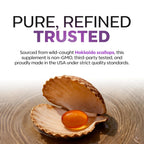 vegan algae omega 3 alternative