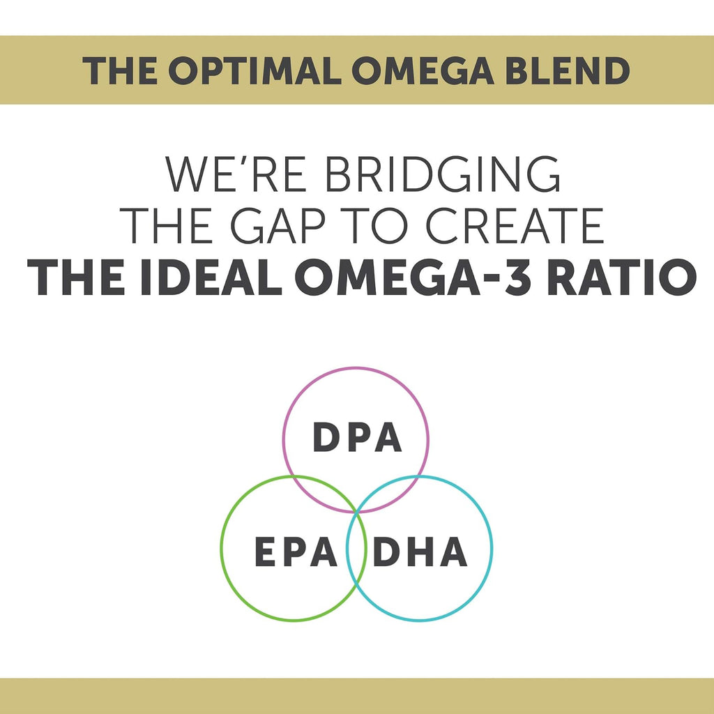 vegan algae omega 3 alternative