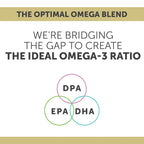 vegan algae omega 3 alternative