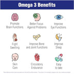 vegan algae omega 3 alternative