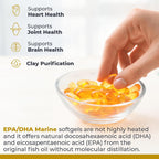 vegan algae omega 3 alternative