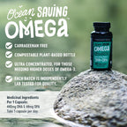 vegan algae omega 3 alternative