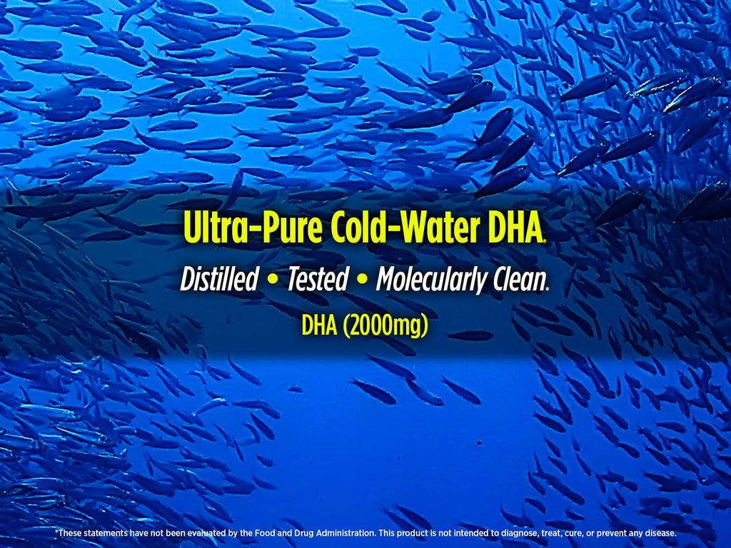 vegan algae omega 3 alternative