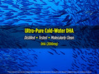 vegan algae omega 3 alternative