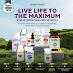 vegan algae omega 3 alternative