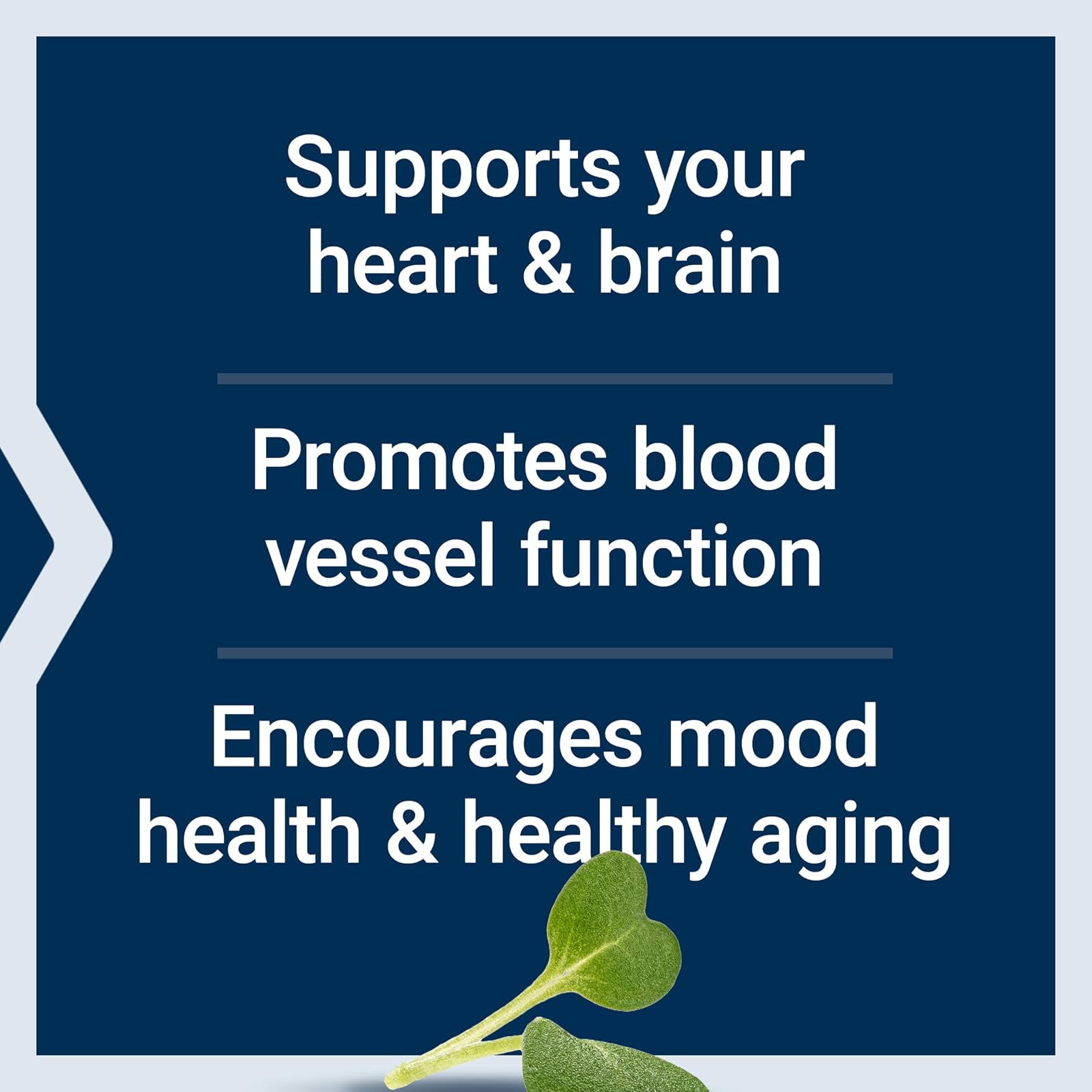 vegan algae omega 3 alternative
