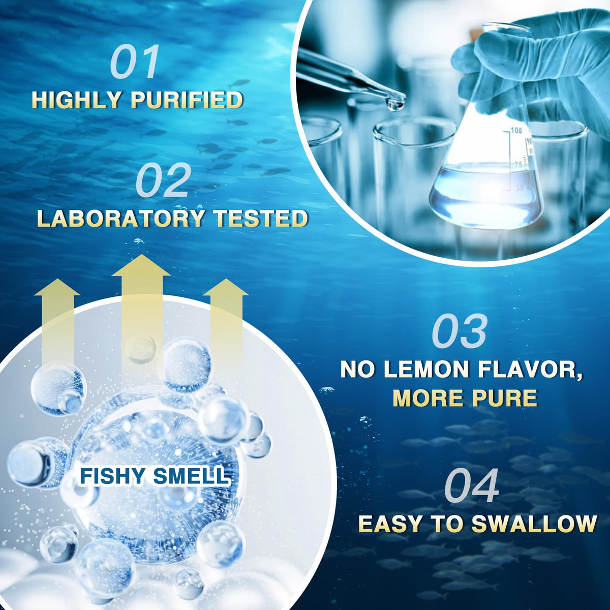 vegan algae omega 3 alternative