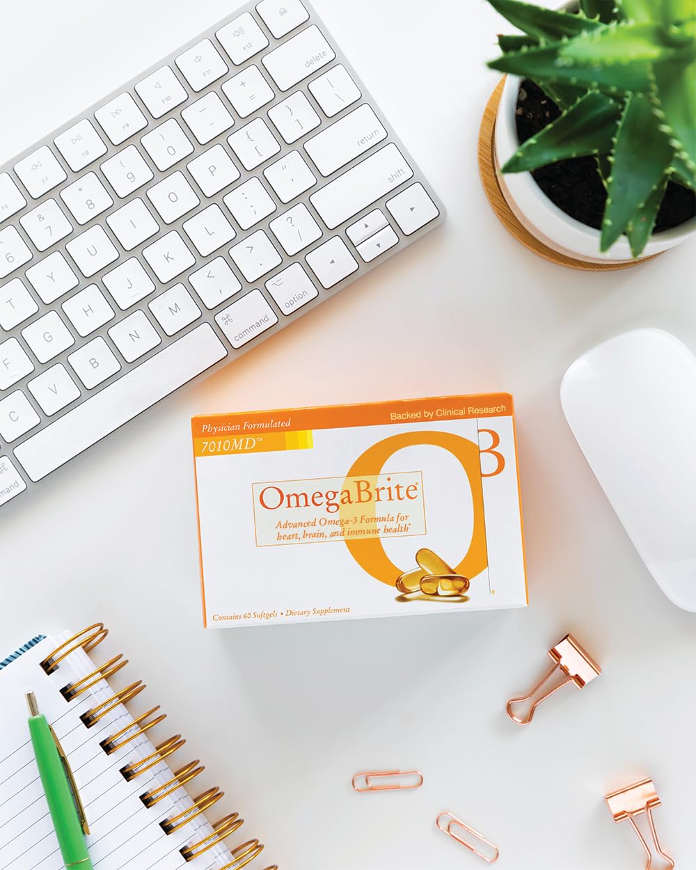 vegan algae omega 3 alternative
