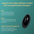 vegan algae omega 3 for kids