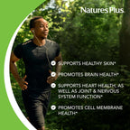 vegan algae omega 3 option