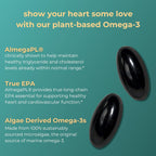 vegan algae omega 3 option