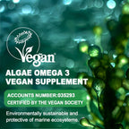 vegan algae omega 3 options
