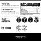 vegan algae omega 3 supplement