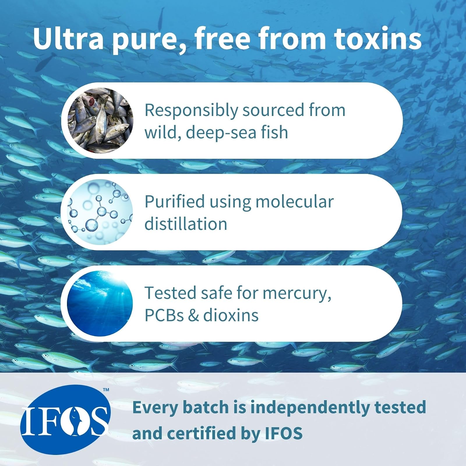 vegan algae omega 3 supplement