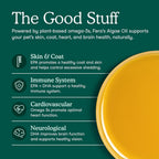 vegan algae omega 3 supplement